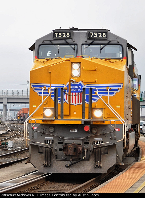 Picture Categories: Action